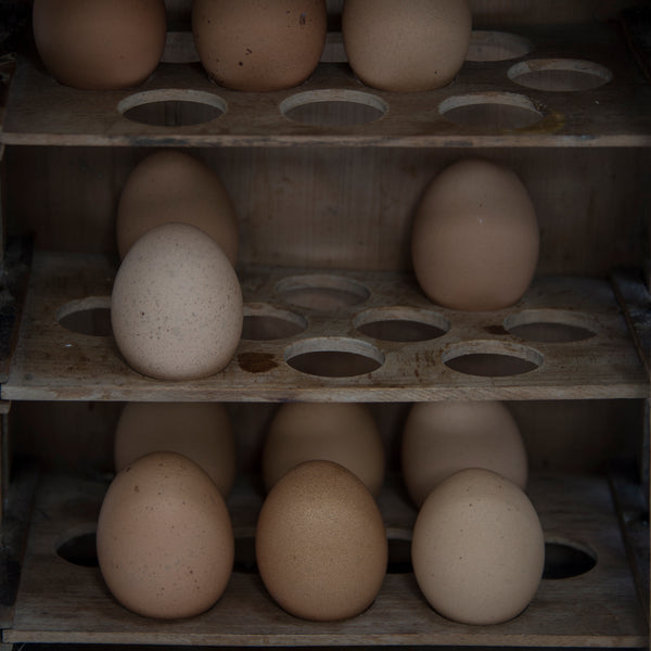 Edwardian Country House Egg Cabinet – A G Hendy & Co Homestore